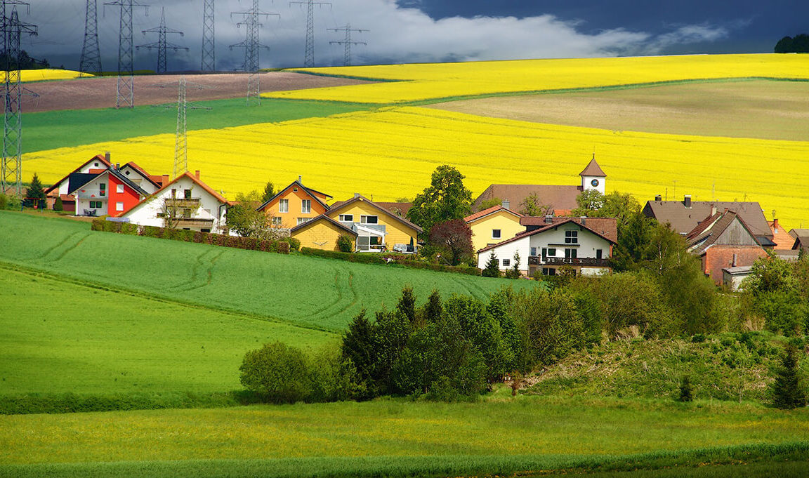 A Complete Guide to Mustard Crop Cultivation: Very Simple Steps ...